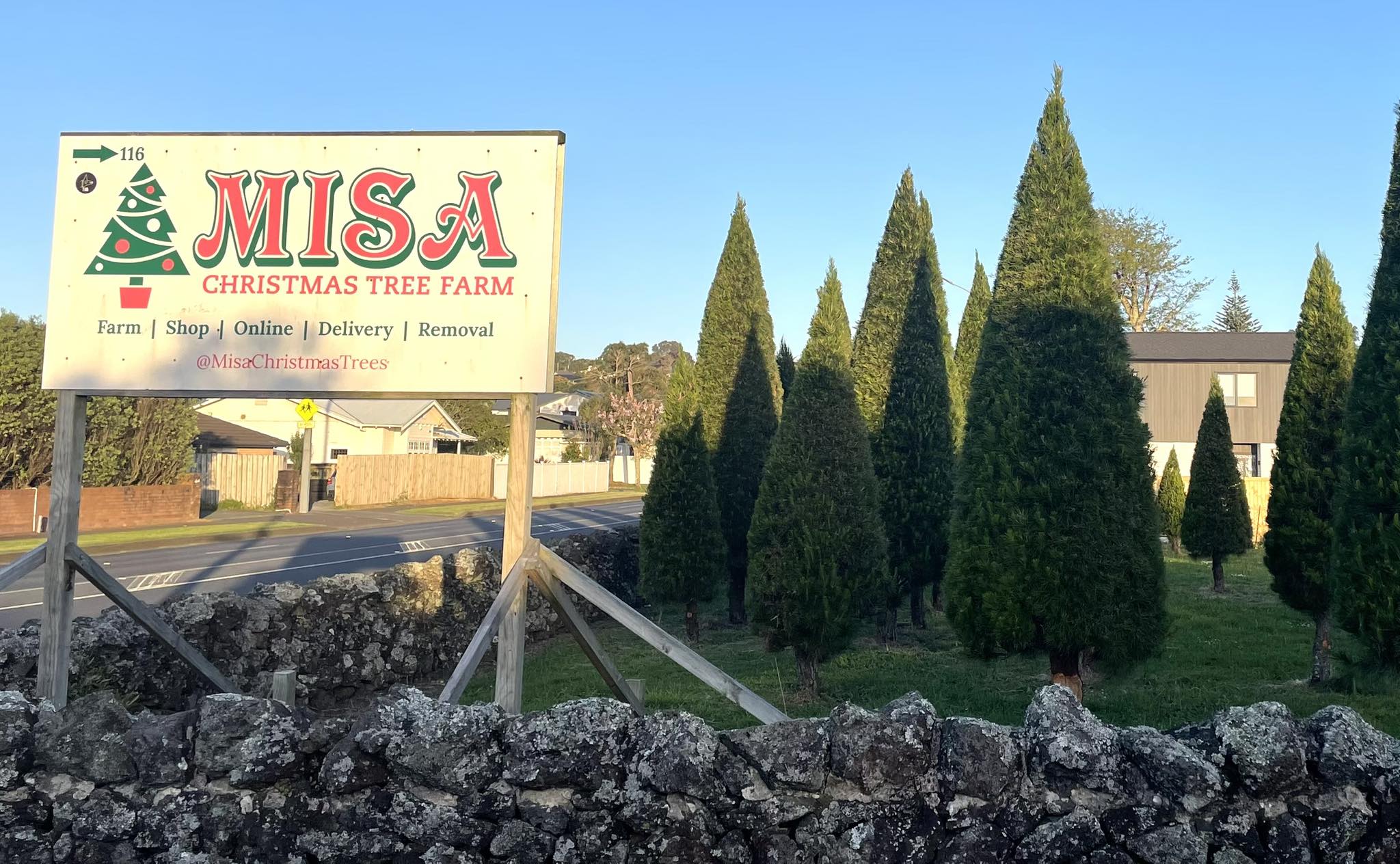 Misa Christmas Tree Farm – Misa Christmas Trees